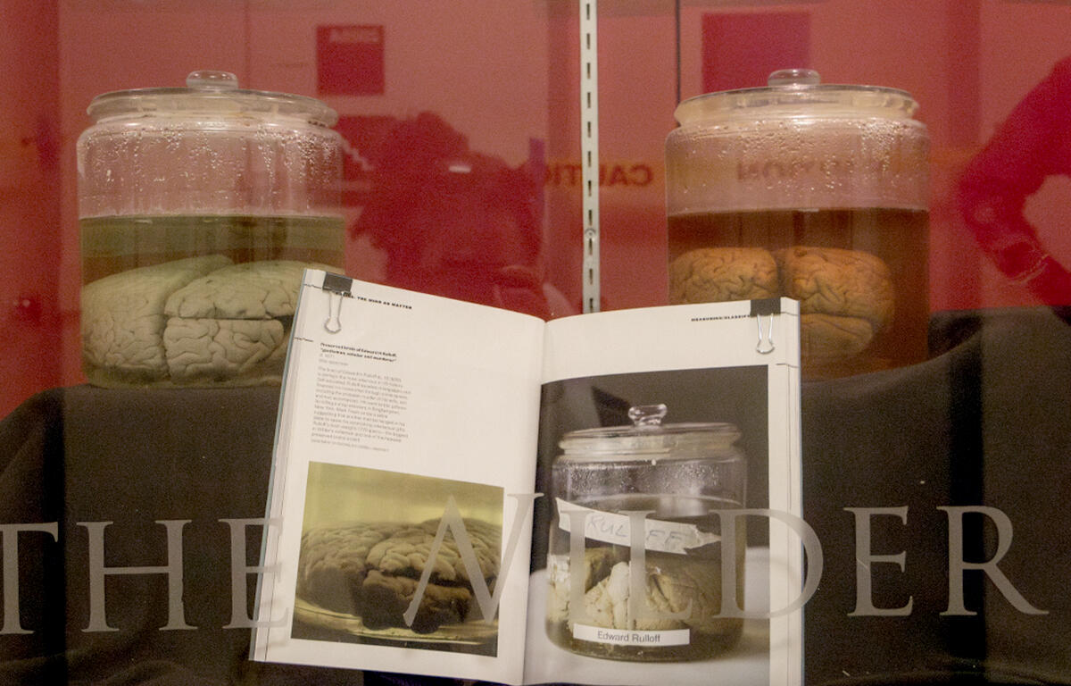 Interesting facts about Ithaca’s most infamous murderer, Edward Rulloff ...