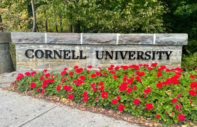 Cornell climbs national university rankings - 607 News Now