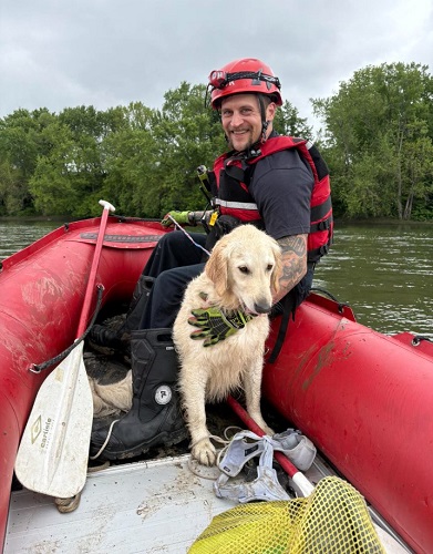 Dog safe with family after river rescue in Binghamton - 607 News Now