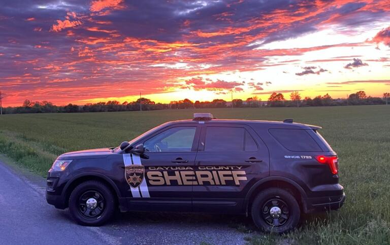 Locke man charged with second domestic-related crime in less than a week - 607 News Now