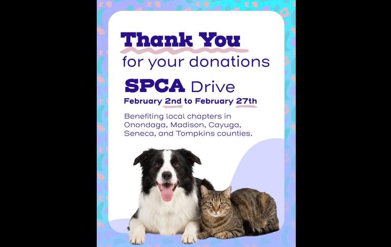 Beginnings Credit Union to launch month-long SPCA drive at all branches ...
